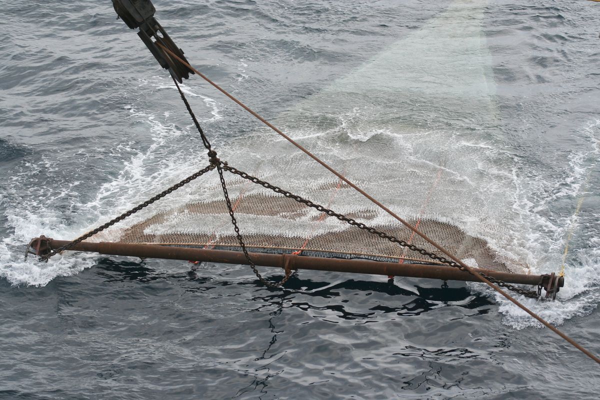 Fisheries NZ Warn Against Marine Trawling - Food + Beverage Technology